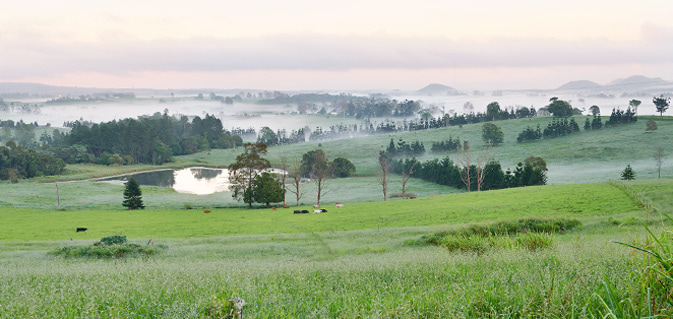 Experience · Sharlynn Bed & Breakfast